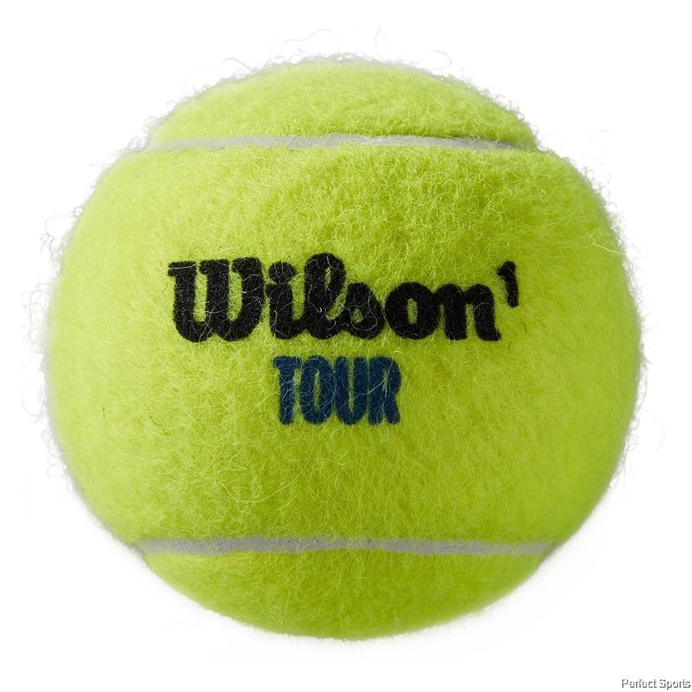 Wilson Tour Premier All Court 3 Ball can