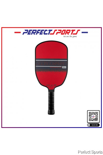 JOOLA Agassi/Graf Champion Pickleball Paddle Set